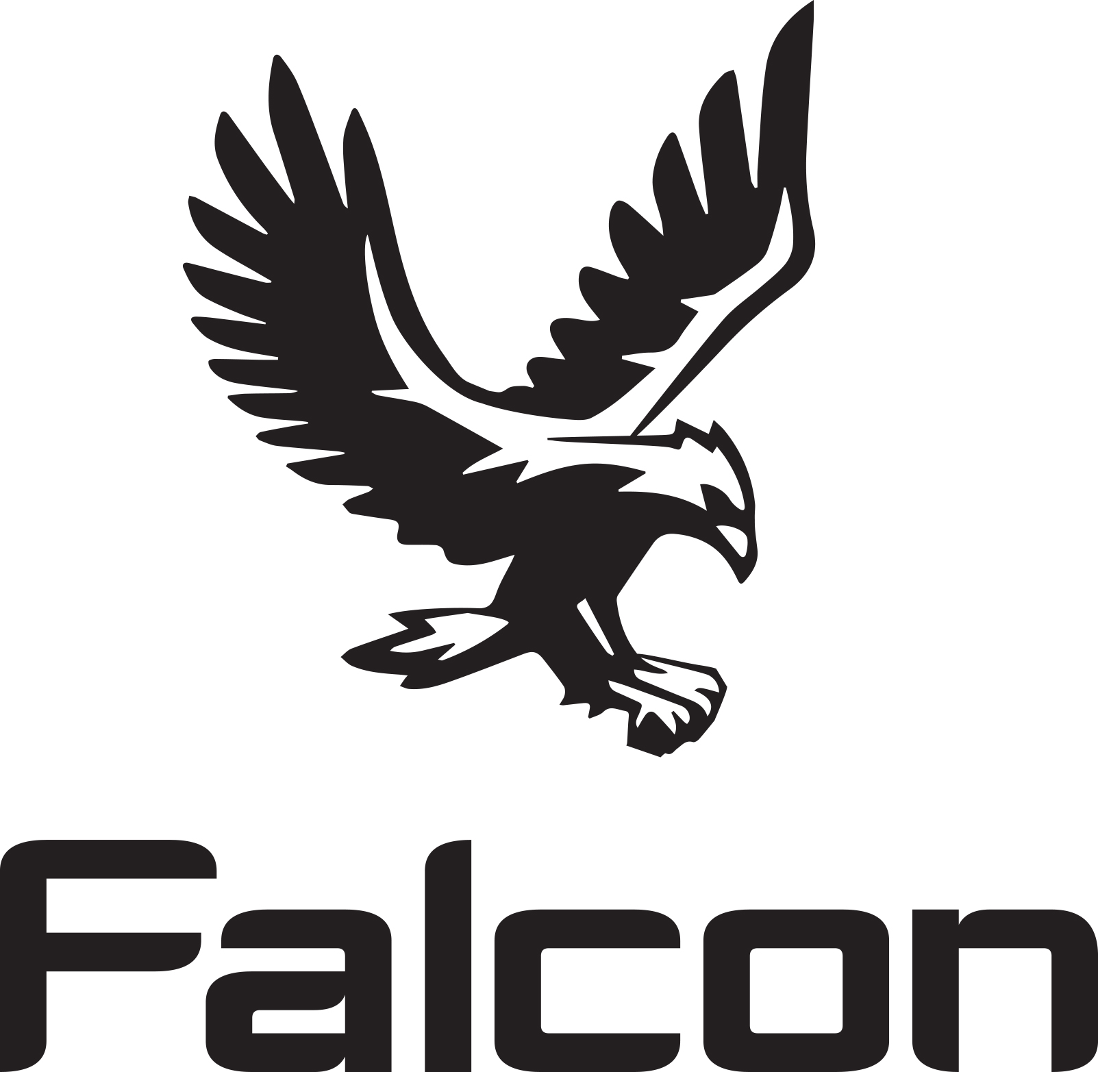 FALCON PSIM – SAT System